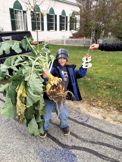 The ‘Gilfeather’ Turnip: A Vermont Heirloom Variety – Mother Earth Gardener